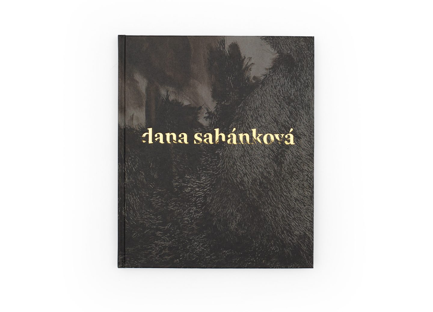 Dana Sahánková: You will never find a place in your shell | Trafo Gallery