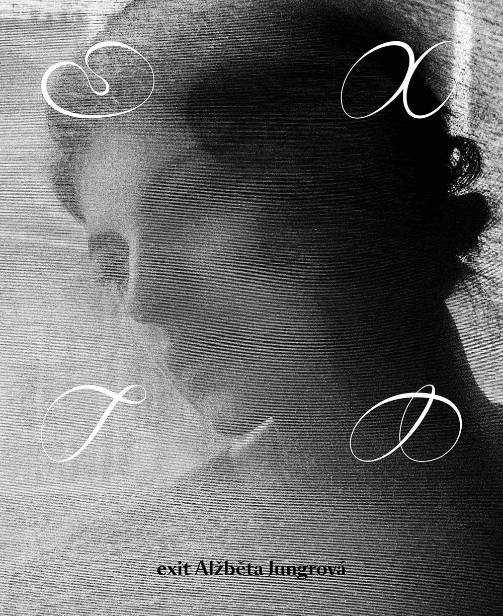 Exit | Trafo Gallery